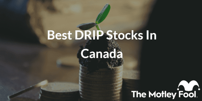 Top Canadian DRIP Stocks of 2026 | The Motley Fool Canada